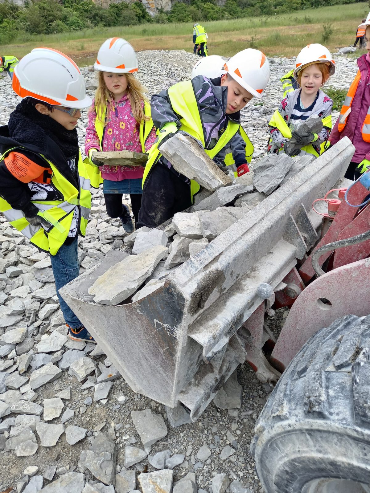 Nistplatz für Bienen im Steinbruch - Alfred Delp Grundschule Geseke